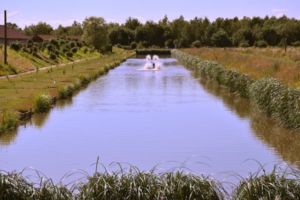 Osprey Lake – Westwood Lakes