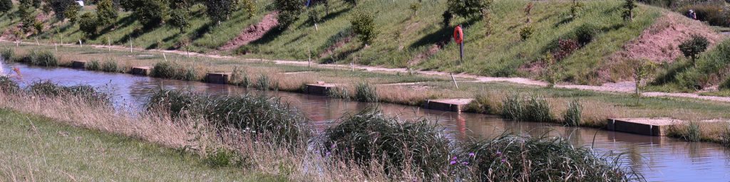Osprey Lake – Westwood Lakes